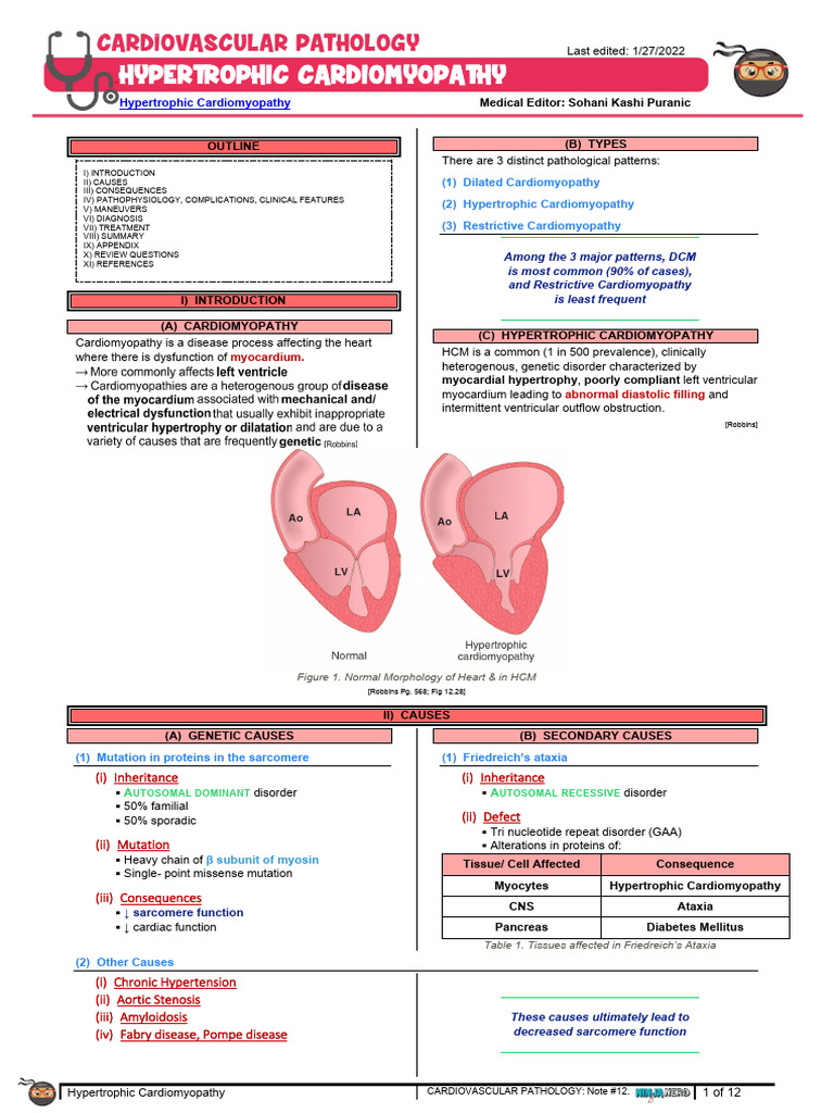 Hypertrophic Cardiomyopathy Atf | PDF | Heart | Clinical Medicine