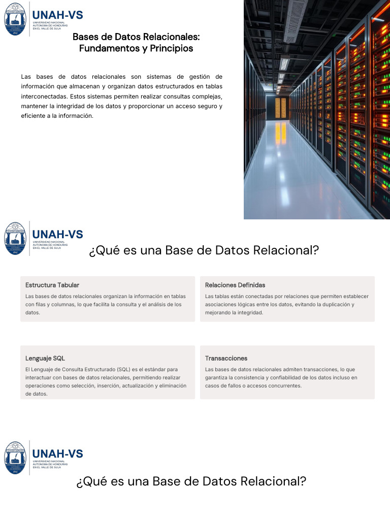 Bases-de-Datos-Relacionales-Fundamentos-y-Principios- prueba (2) | PDF | Bases de datos | Base ...