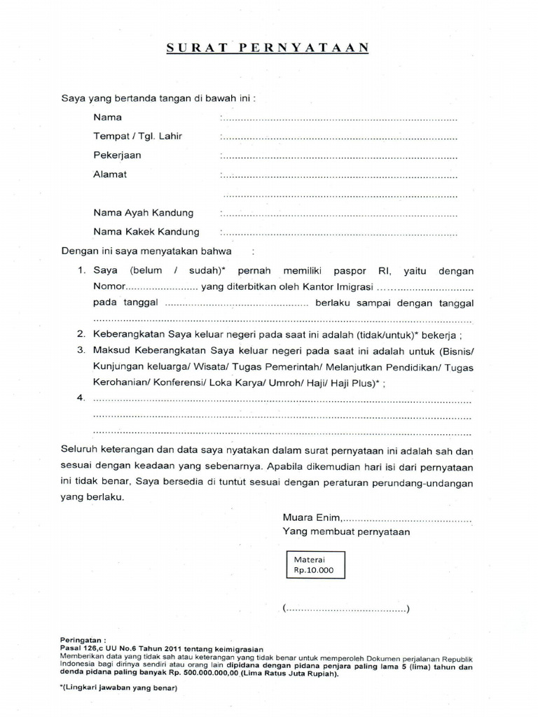 Surat Pernyataan Imigrasi | PDF