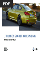 Basic Introduction - TDSG | PDF | Lithium Ion Battery | Electric Vehicle