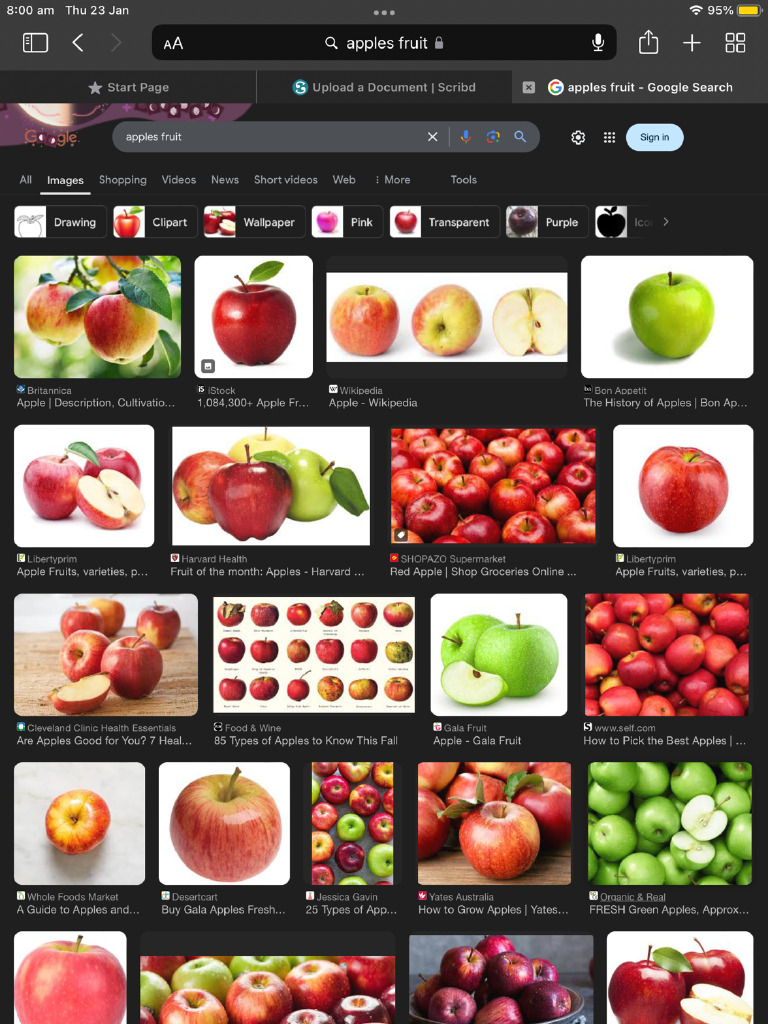 Apple | PDF