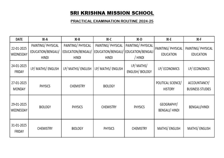 Class 11 Practical Routine | PDF