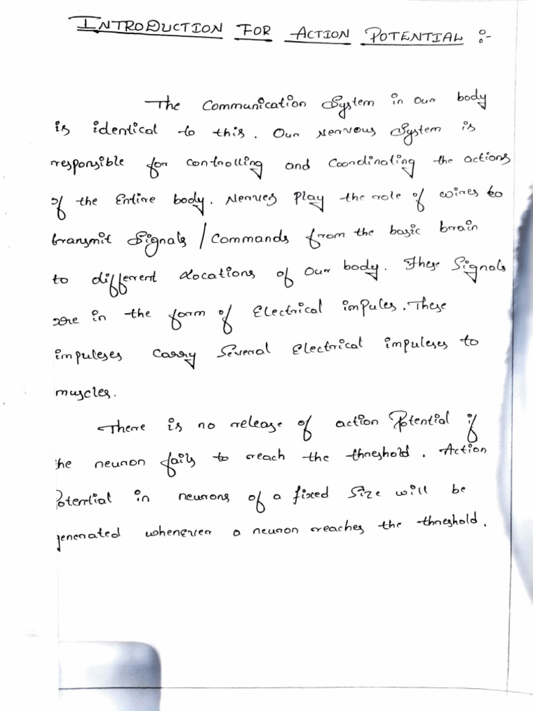 Action Potential | PDF