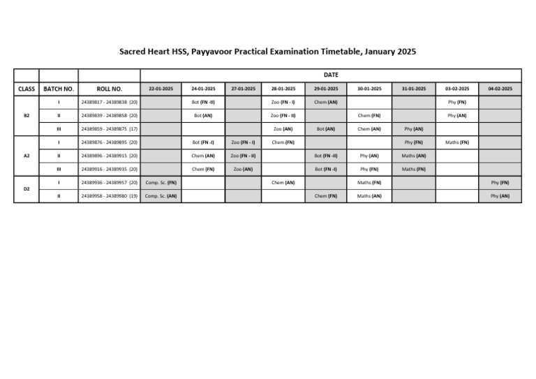 Practical 2025 | PDF