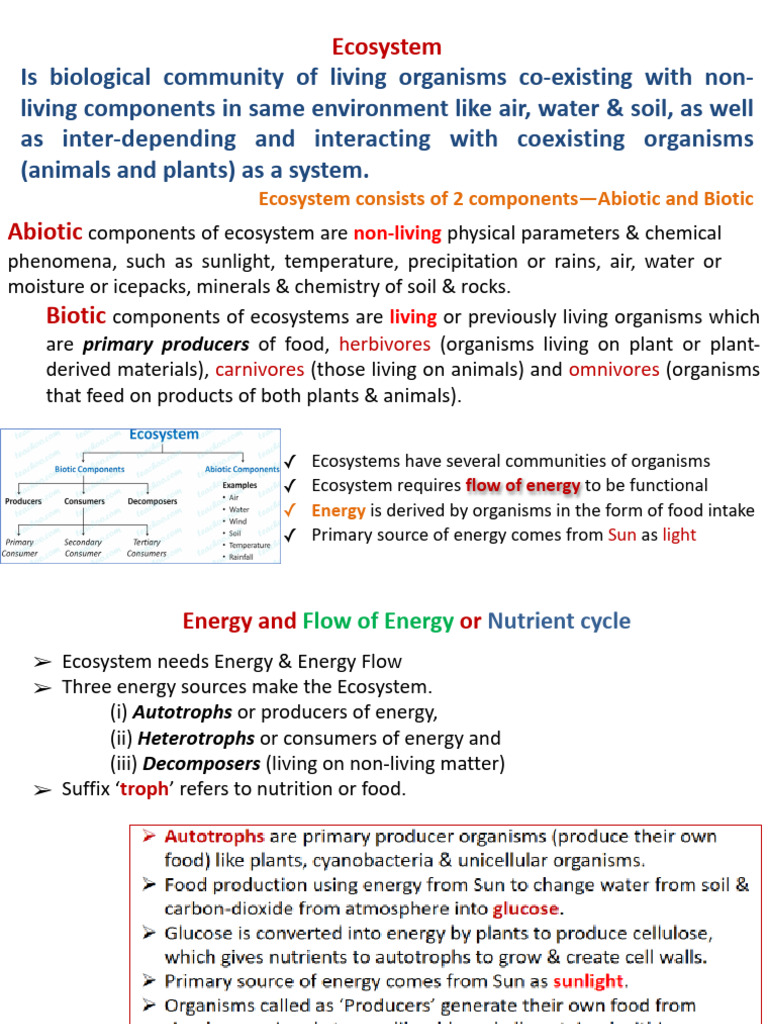 Unit 2 - Energy Food Chain Web | PDF | Food Web | Ecosystem