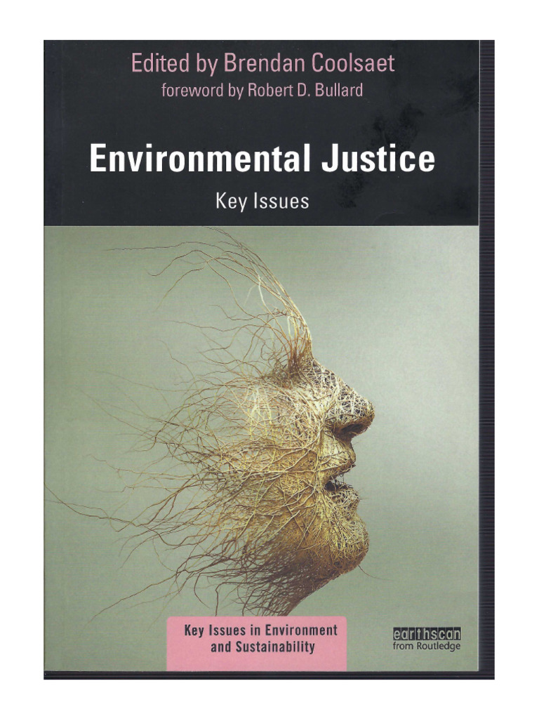 Sze - Sustainability and Environmental Justice | PDF