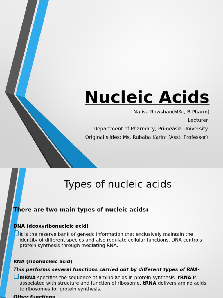 Nucleic Acids | PDF | Nucleic Acids | Dna