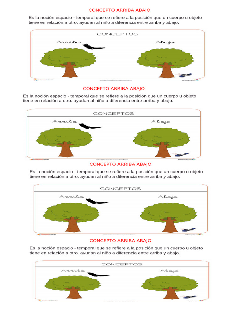 Conceptos Espaciales para Niños | PDF