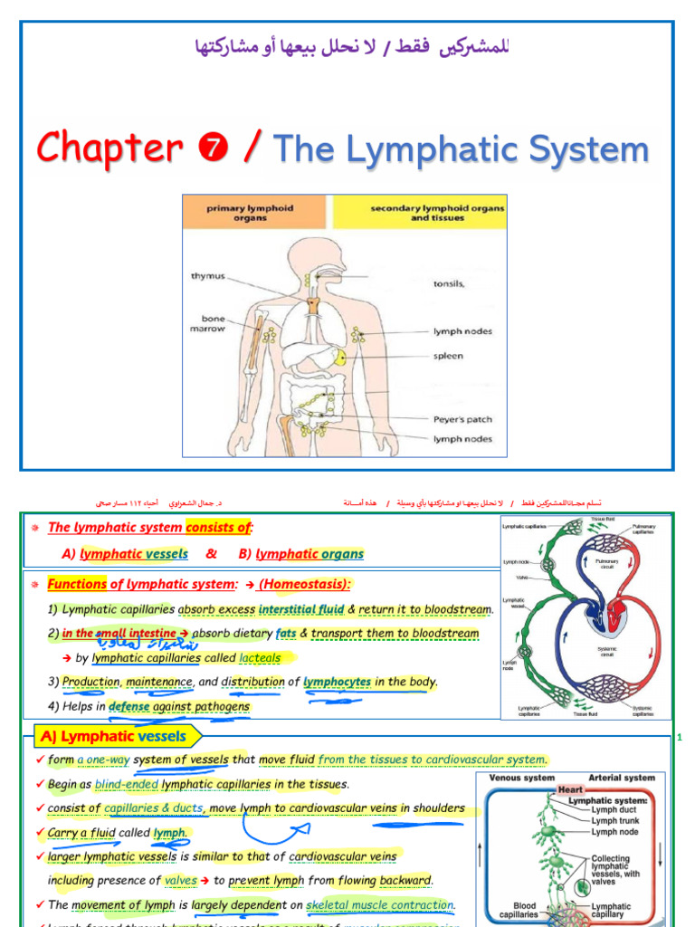 Ch7 | PDF | Lymph | Lymphatic System