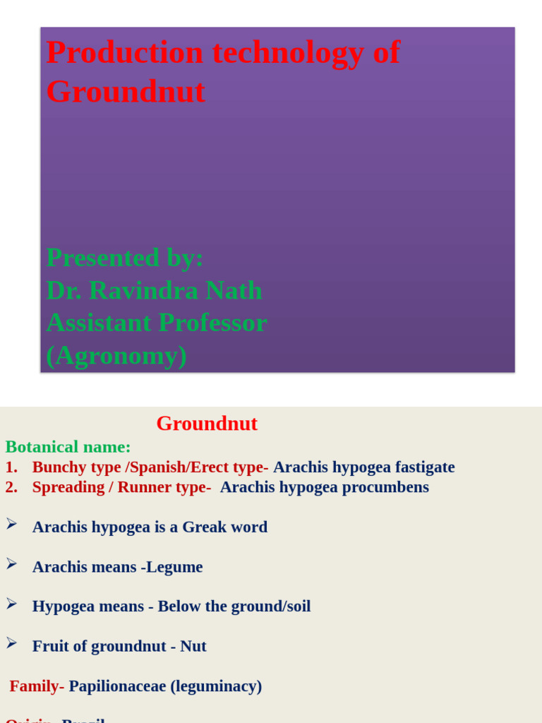 Groundnut Production Technology Guide | PDF | Peanuts | Horticulture