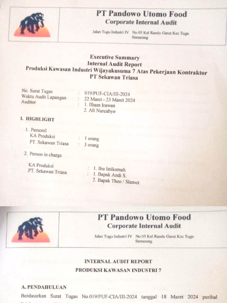 Hasil Audit 22-23 Maret 2024 Puf Kiw | PDF