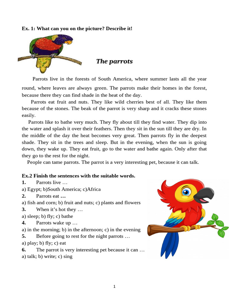 Microteaching Reading 5th Grade | PDF