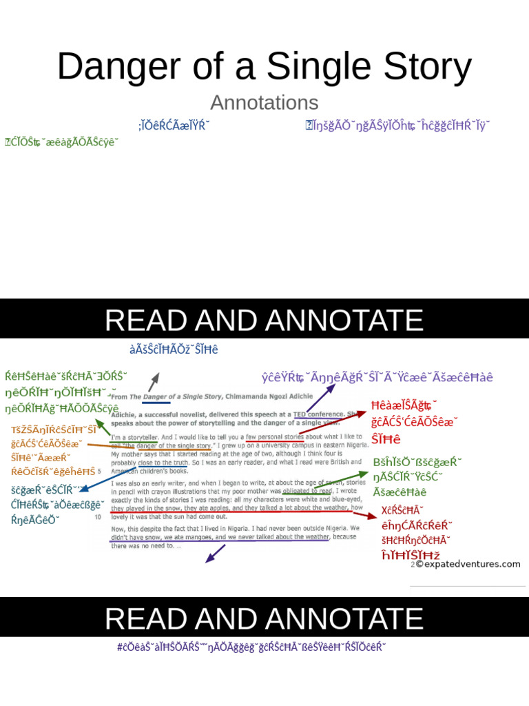 Danger of A Single Story - Annotations | PDF