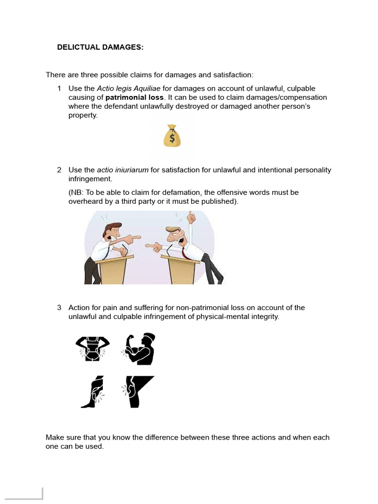 Delictual Damages | PDF