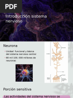 Resumen Capitulo 46 Guyton | PDF | Sinapsis | Neurona