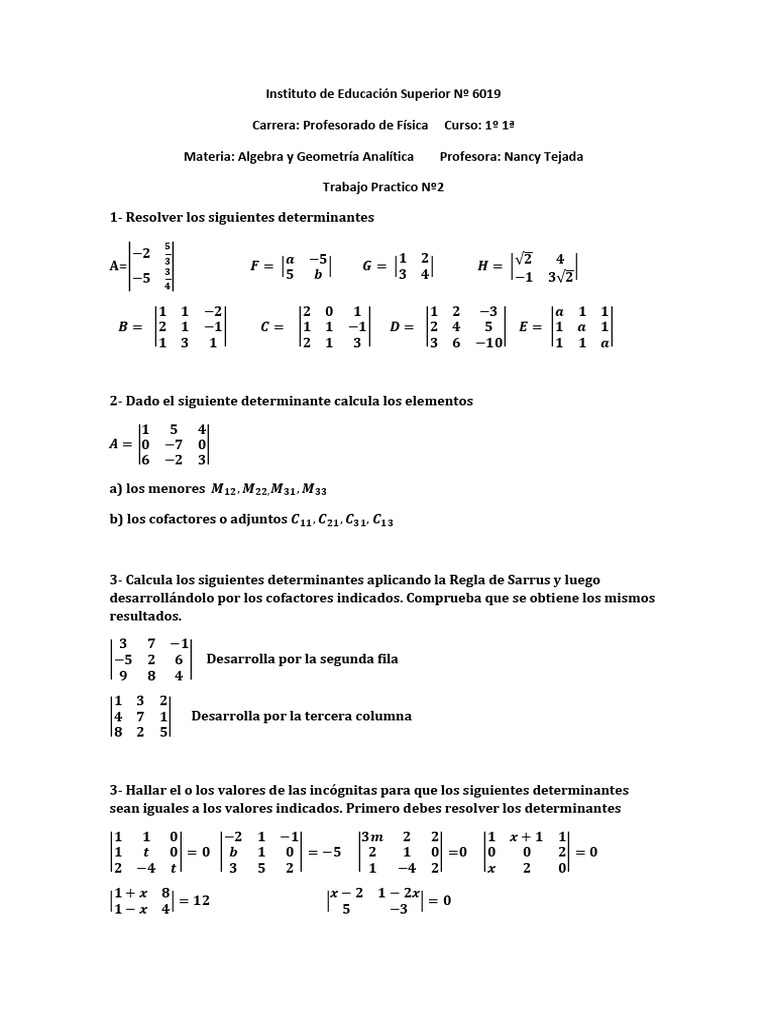 Álgebra y Geometría: Práctico 2 | PDF | Determinante | Física Matemática