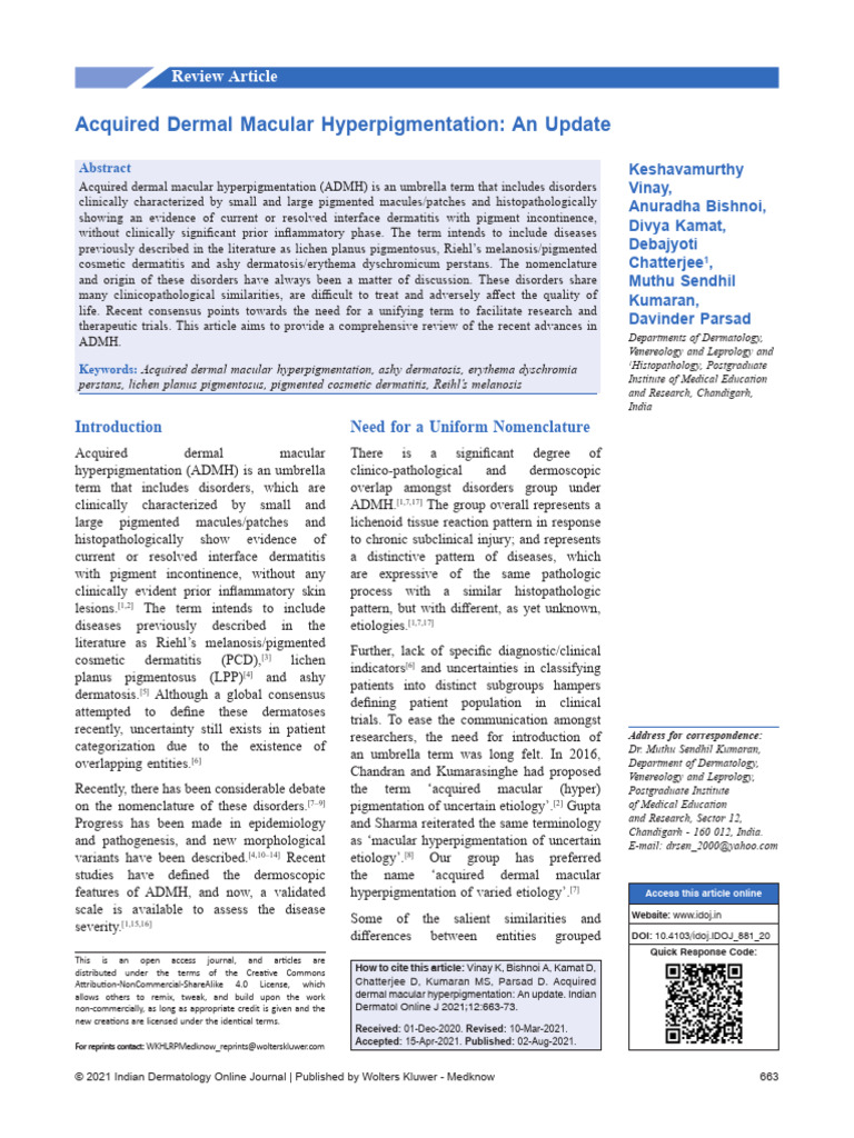 Acquired Dermal Macular Hyperpigmentation An Updat | PDF | Epidermis ...