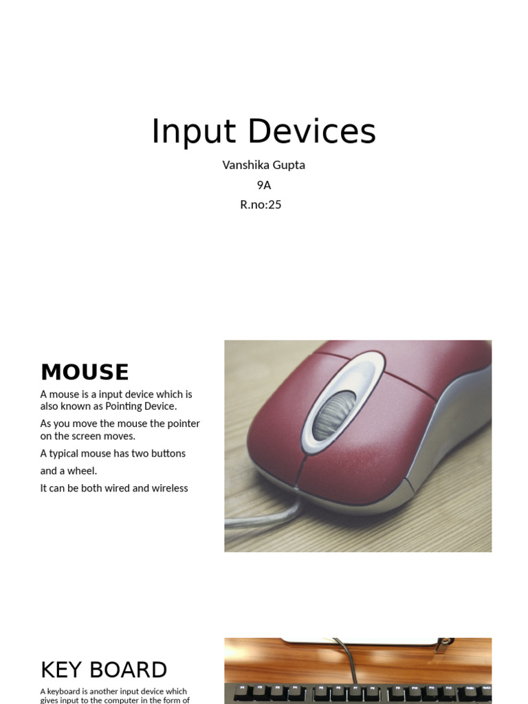 Input Devices | PDF