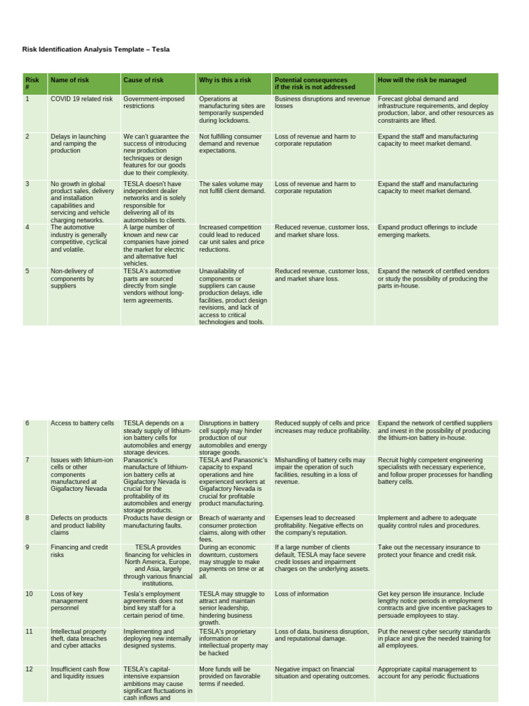 Risk Identification Analysis Template - Tesla | PDF | Business | Economies