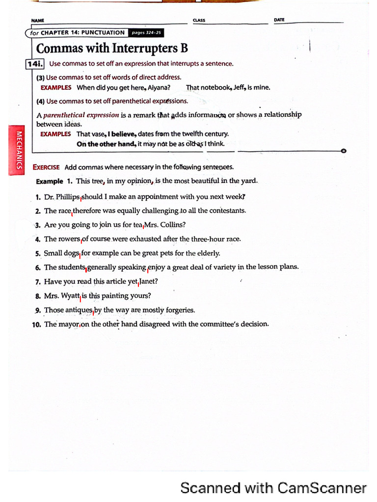 Commas With Interrupters | PDF