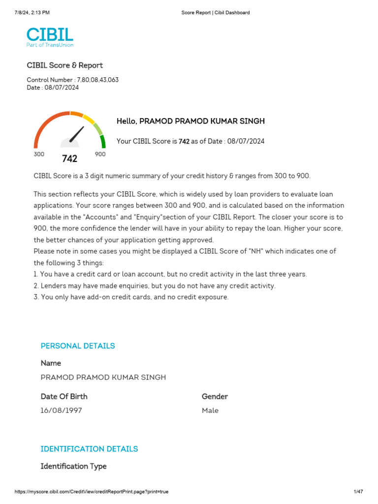 CIBIL Score Report for Pramod Singh | PDF | Credit | Finance & Money ...