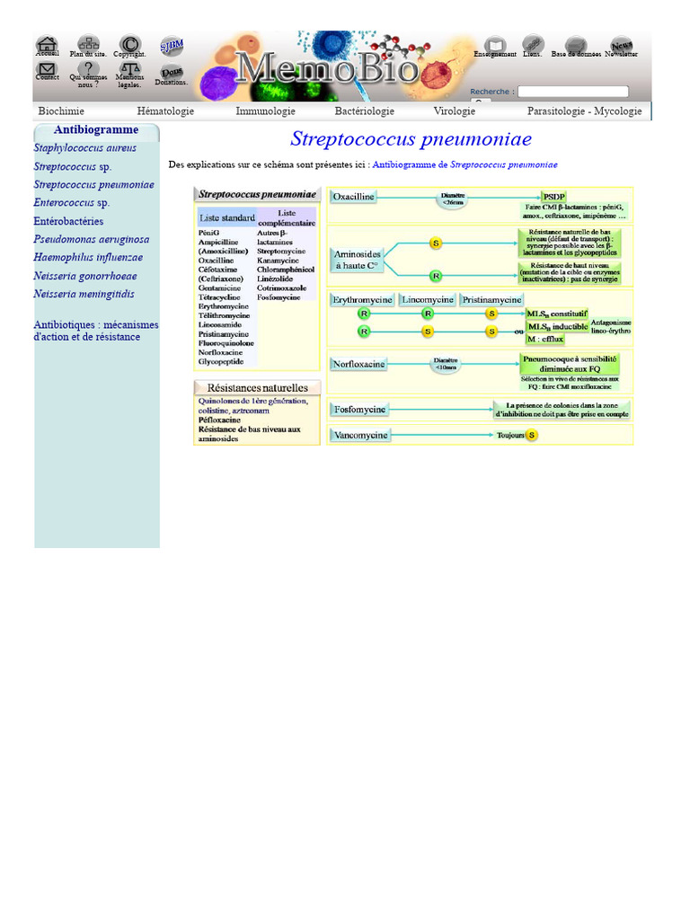 Streptococcus Pneumoniae - Antibiogramme | PDF