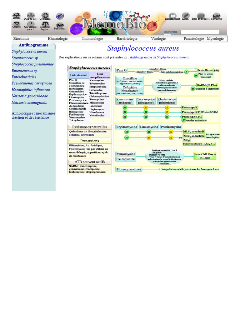 Antibiogramme de Staphylococcus aureus | PDF