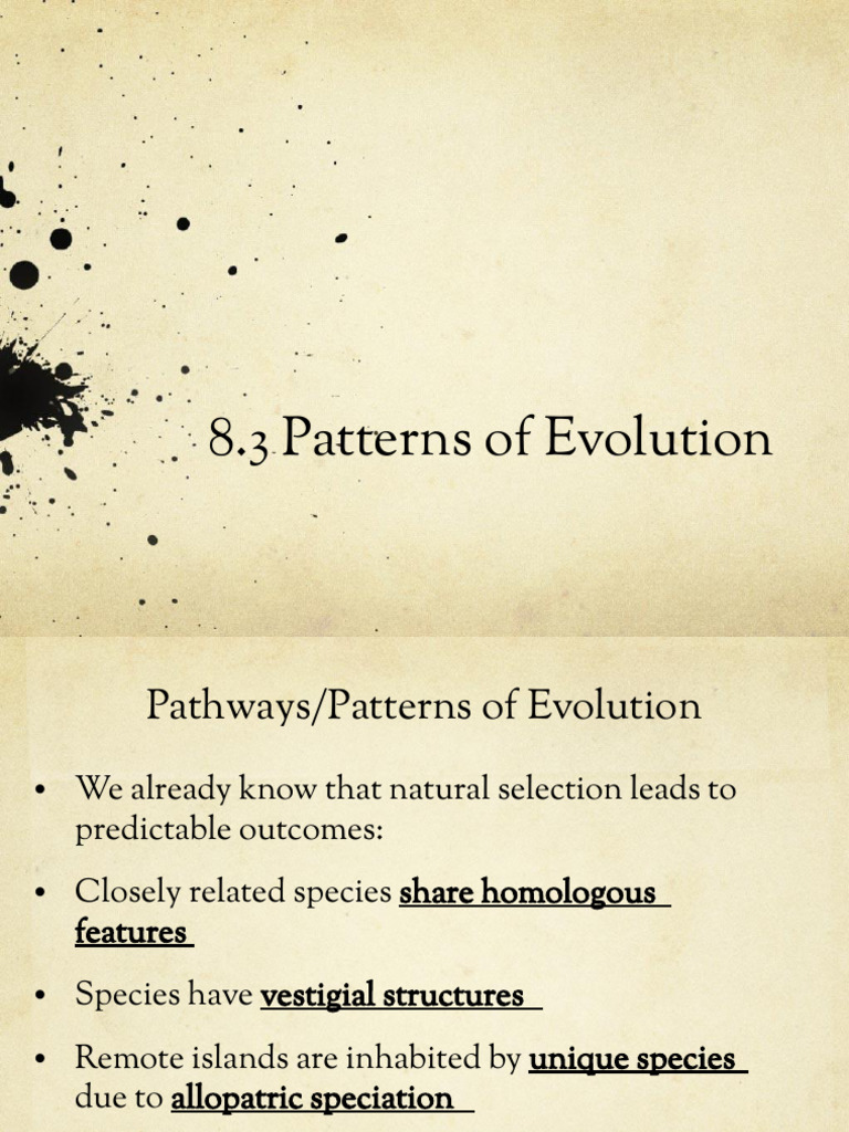 8.3 Patterns of Evolution | PDF | Evolution | Species