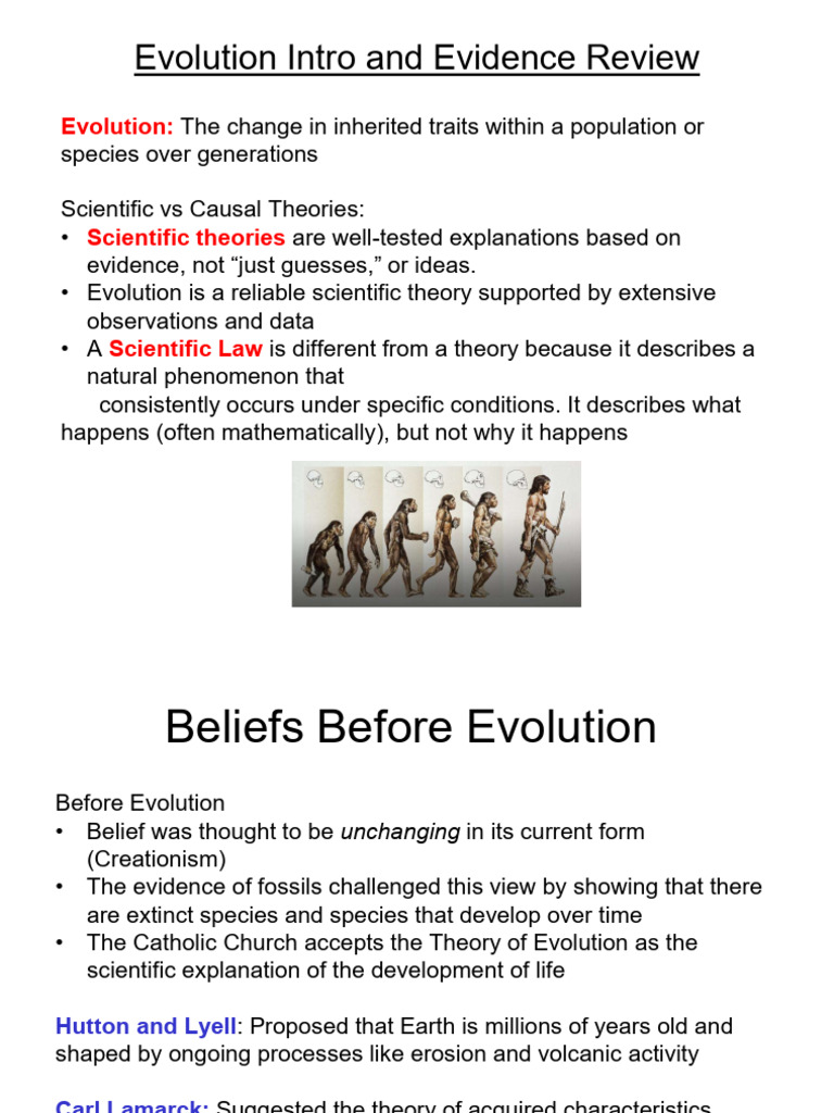 Overview of Evolutionary Evidence | PDF | Evolution | Species