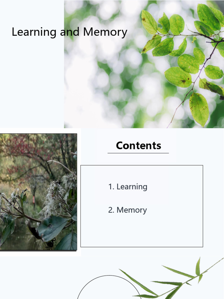 L2 Learning and Memory | PDF | Classical Conditioning | Reinforcement