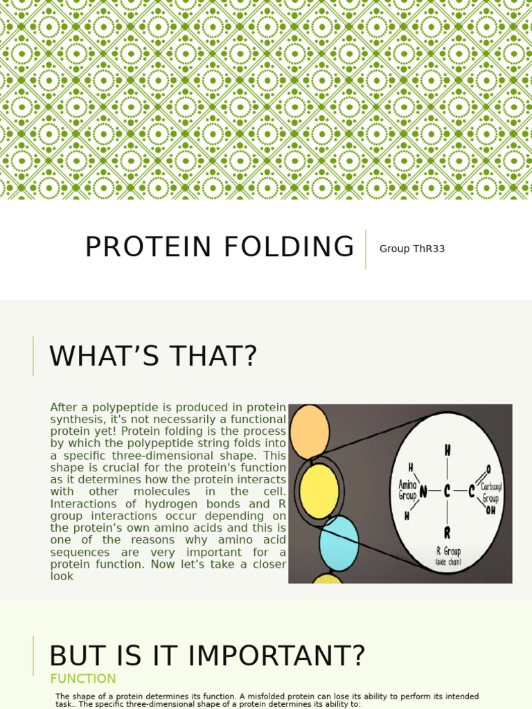 Protein Folding and Its Importance | PDF | Protein Structure | Protein ...