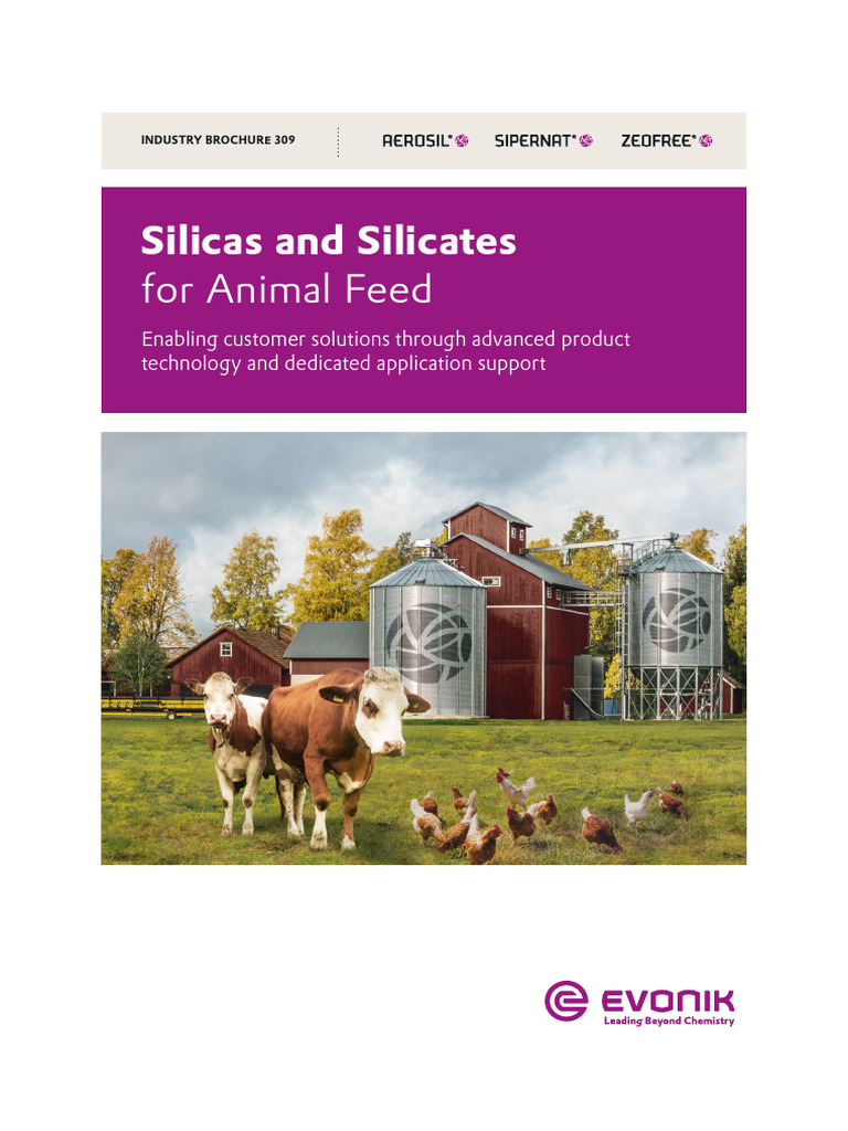 Silica Silicates in Animal Feed | PDF | Silicon Dioxide | Viscosity