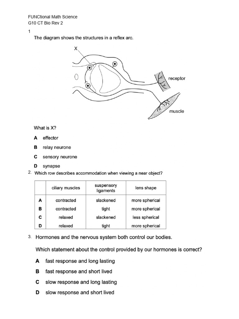 CT BIO rev 2 | PDF