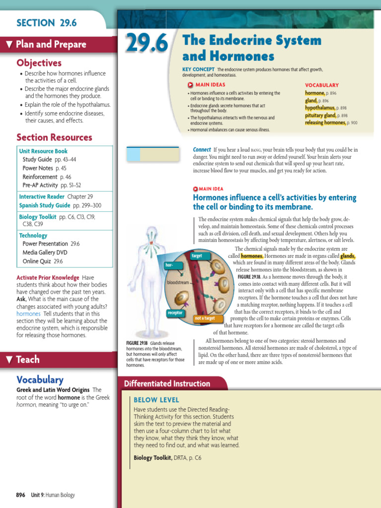 Understanding the Endocrine System | PDF | Hormone | Endocrine System