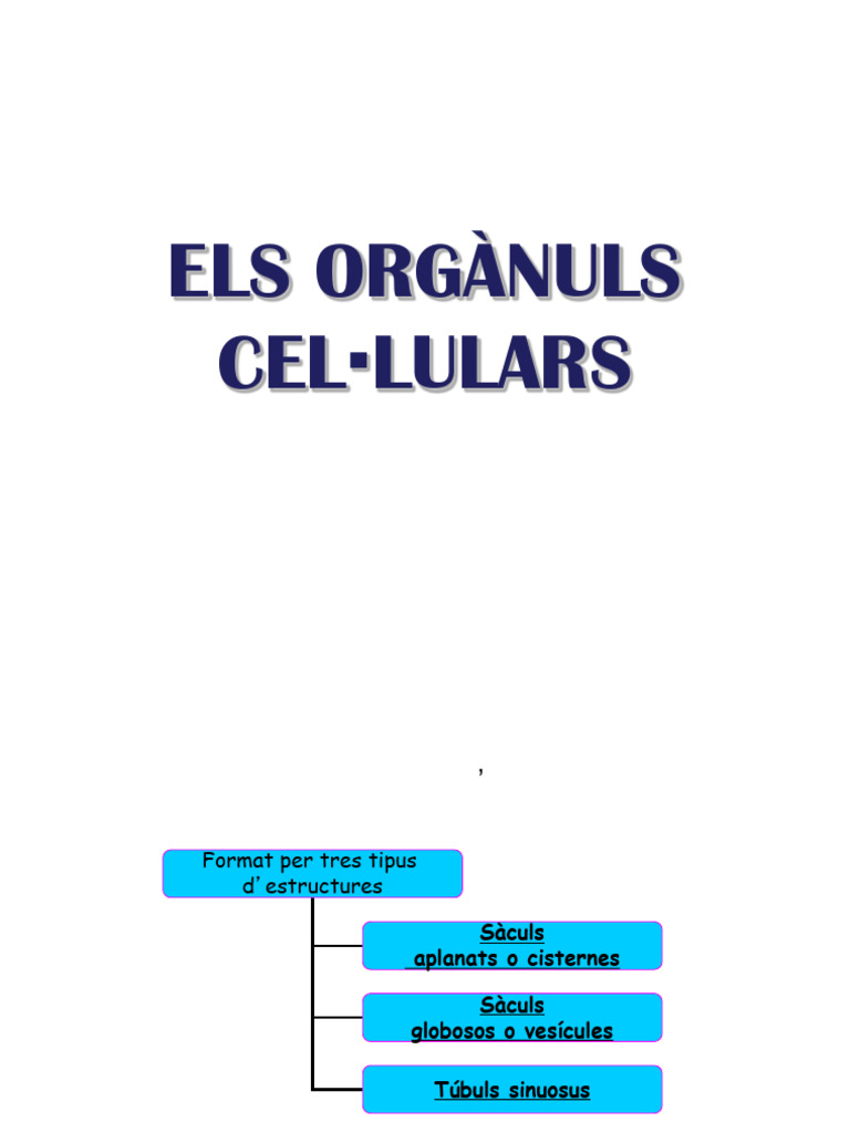 Els Orànuls Cel Lulars | PDF