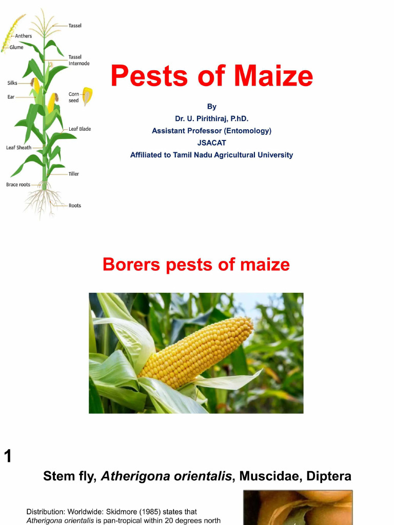 e6ecdb0b-de8a-4dc4-a6fc-c02870bc1d27 | PDF