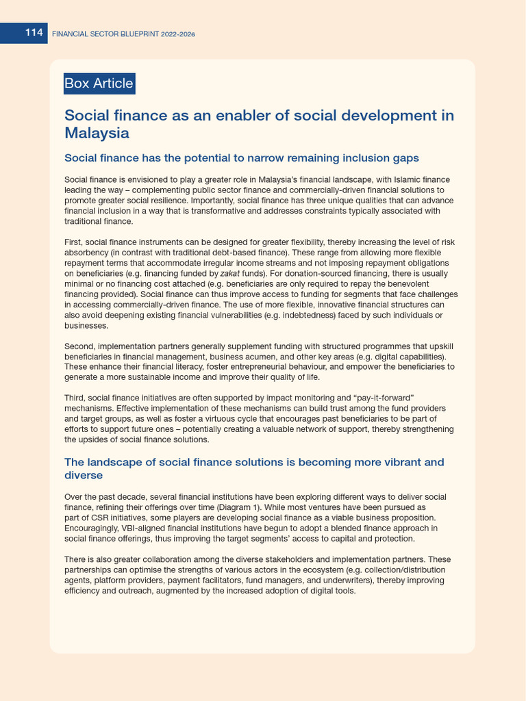 Social Finance Article | PDF | Social Enterprise | Microfinance
