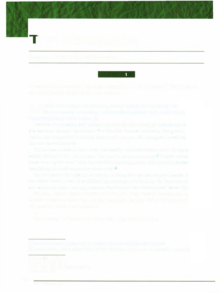 The Necklace-1 Extract OCR | PDF