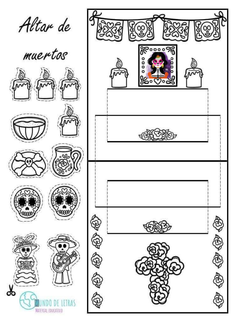 Cami - 1 | PDF