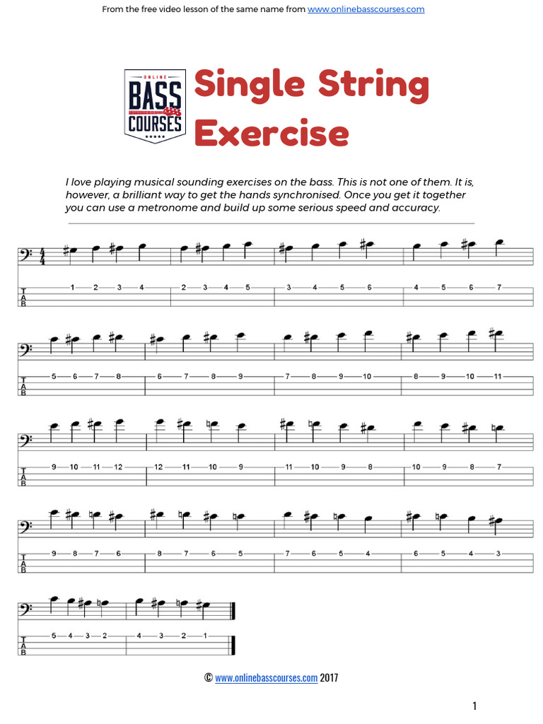 Single String Exercise 1 | PDF
