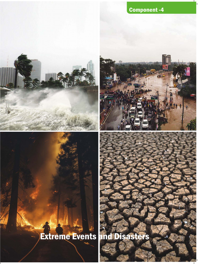 ES1 2024 Comp4 | PDF