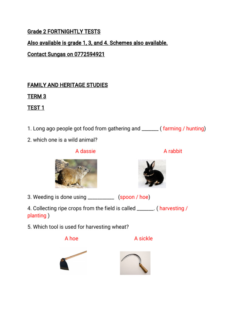 Grade 2 Term 3 Test Papers | PDF