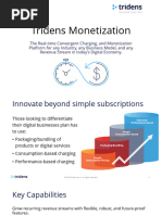 TP Catalyst User Guide for Transfer Pricing | PDF | Taxes | Business