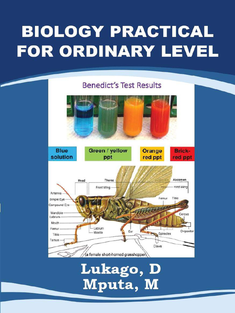 Biology Practical Full - Removed | PDF | Stomach | Digestion