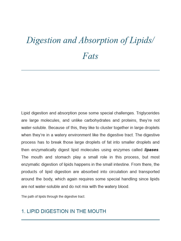 Lipid Digestion and Absorption Guide | PDF | Digestion | Bile