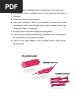 Muscular System Grade 4 Science | PDF | Wellness