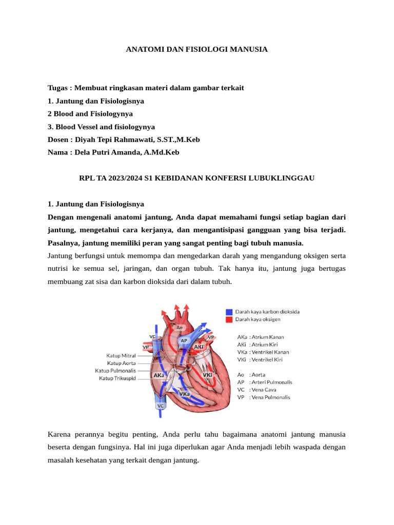 ANATOMI DAN FISIOLOGI MANUSIA | PDF