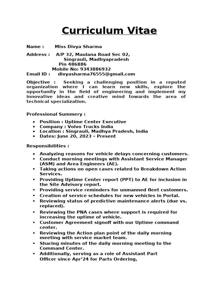 Curriculum Vitae | PDF | Computing