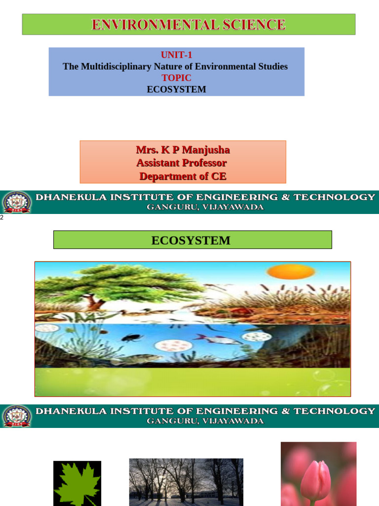 UNIT-1-ECOSYSTEM | PDF | Ecosystem | Food Web