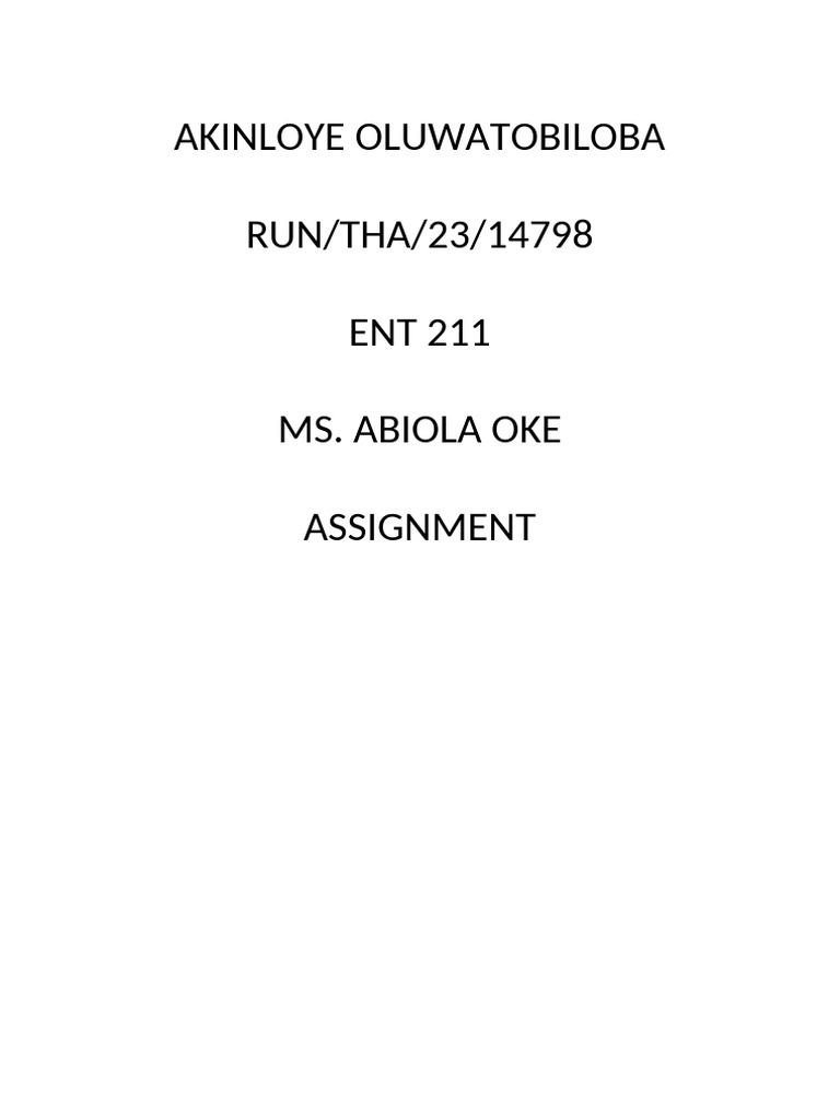 ENT 211 Assignment | PDF | Social Media | Popular Culture & Media Studies